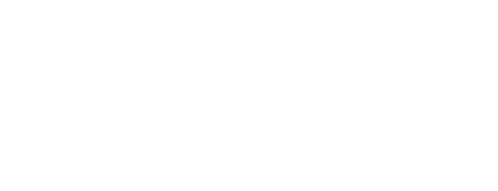 RAPID ACCESSGUIDE – SICAT